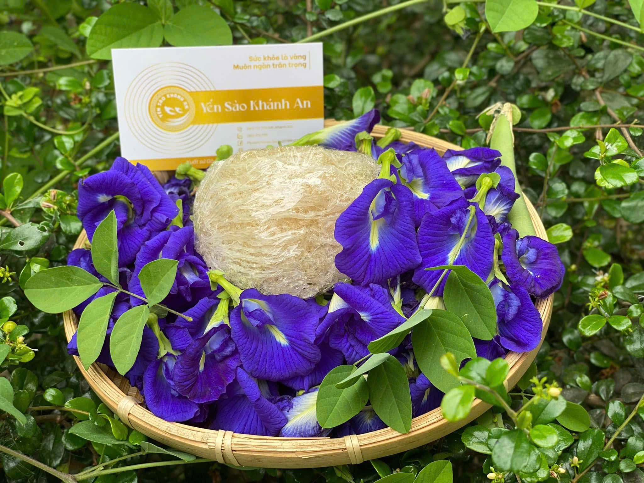 Axitamin, Axitaminlachatgi, Axitamincototchosuckhoe ...